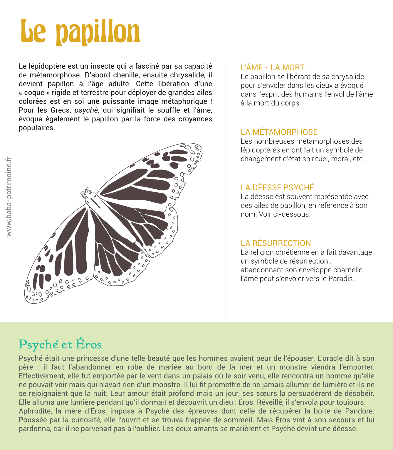 Roue Du Cycle De Vie Du Papillon Cycle De Vie Du Papillon / Place En